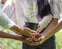 AISECT Skills & Livelihood: Building Entrepreneurs and Skilled Professionals